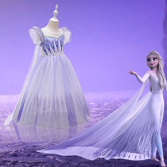 Dresses | Frozen Elsa Purple Costume Dress | Poshmark